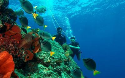 Cabo Discount Tours - ATV Tours, Golf Activities & more - Cabo San Lucas